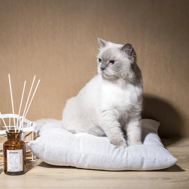 【hoi! 好好生活】簡約斜紋麻感榻榻米坐墊-灰45x45cm - momo購物網