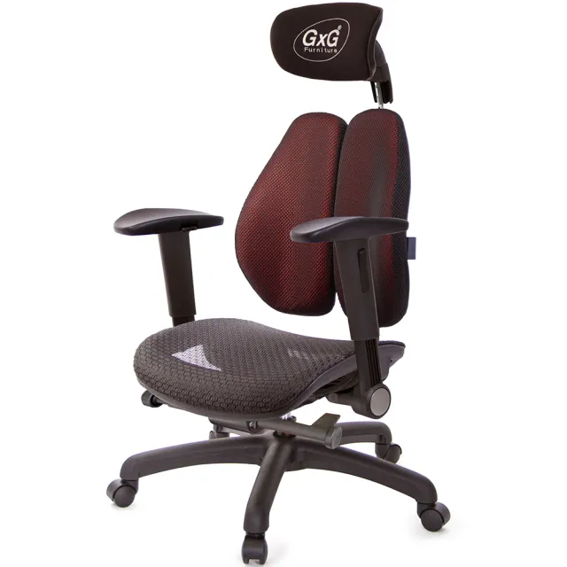 【GXG 吉加吉】大網座 雙背工學椅 摺疊滑面扶手(TW-3676 EA1J) - momo購物網 - 好評推薦 -2024年12月